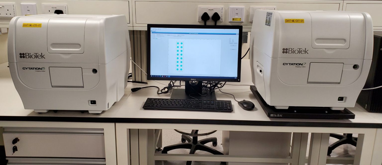 Facilities - Department of Microbiology, The University of Hong Kong