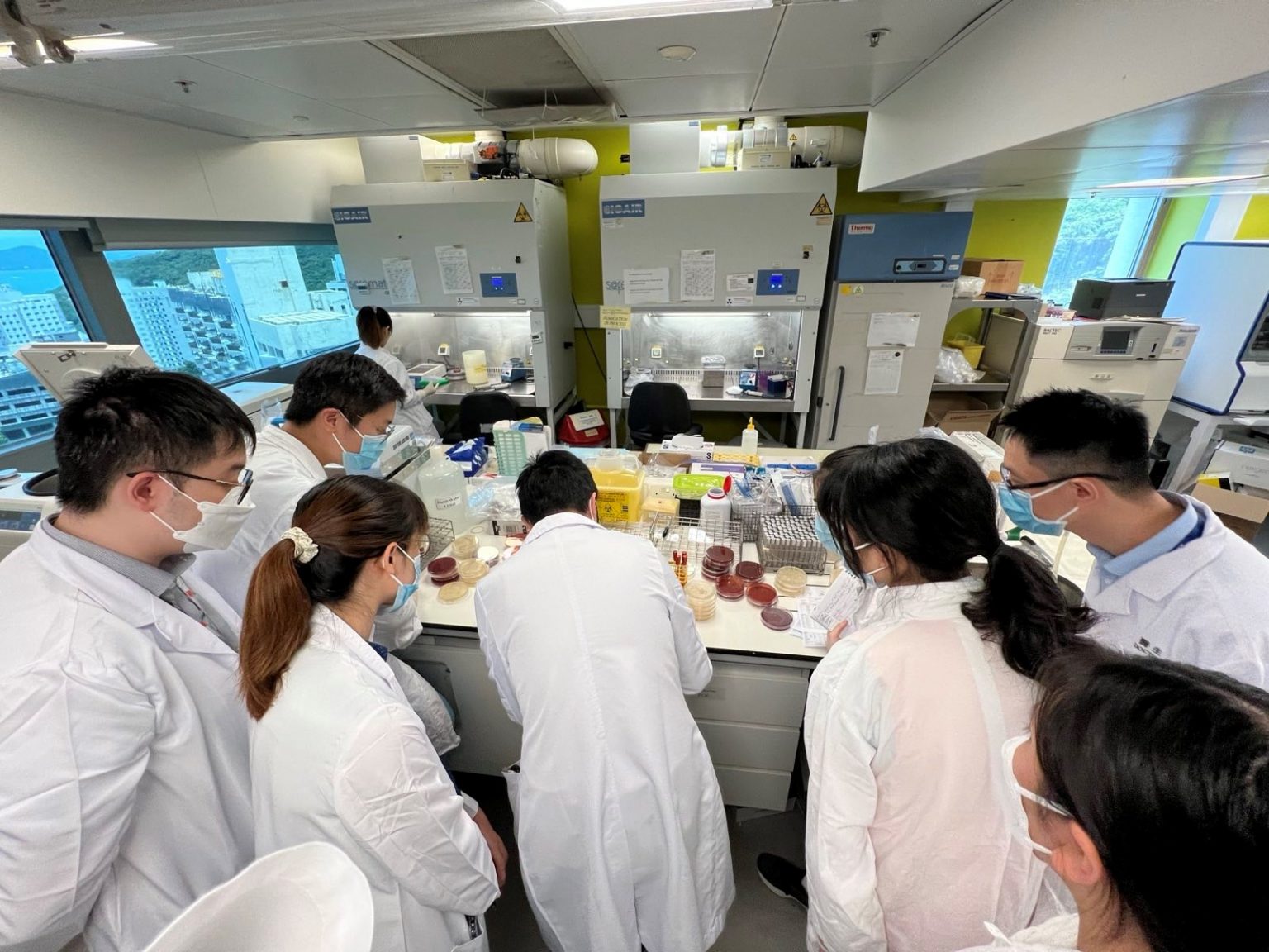 Postgraduate Teaching - Department of Microbiology, The University of ...